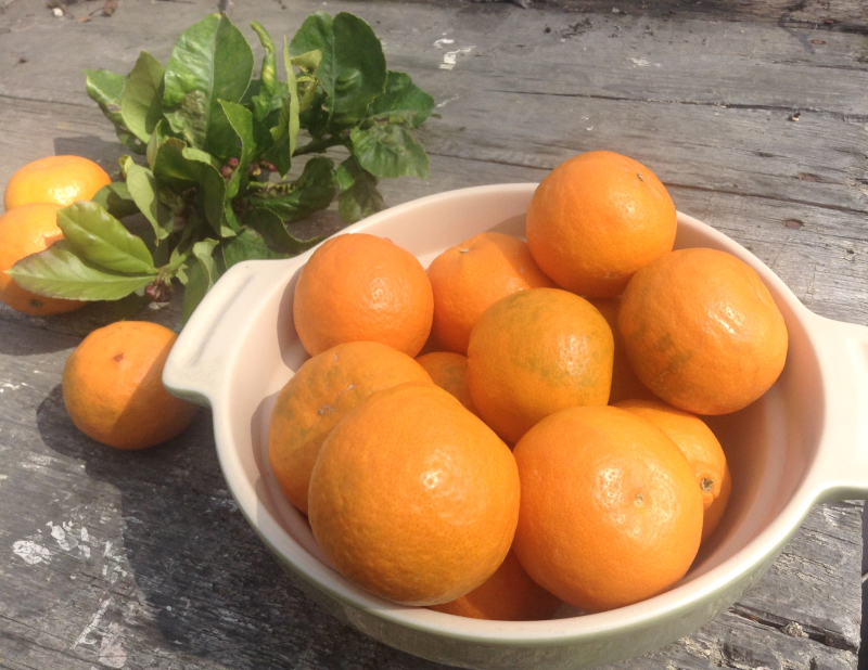 Blog - Deb's Kitchen