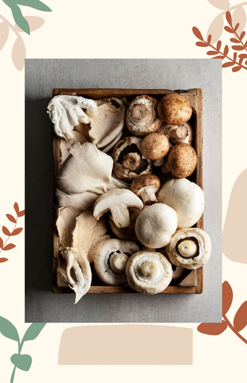 Classes - Deb's Kitchen